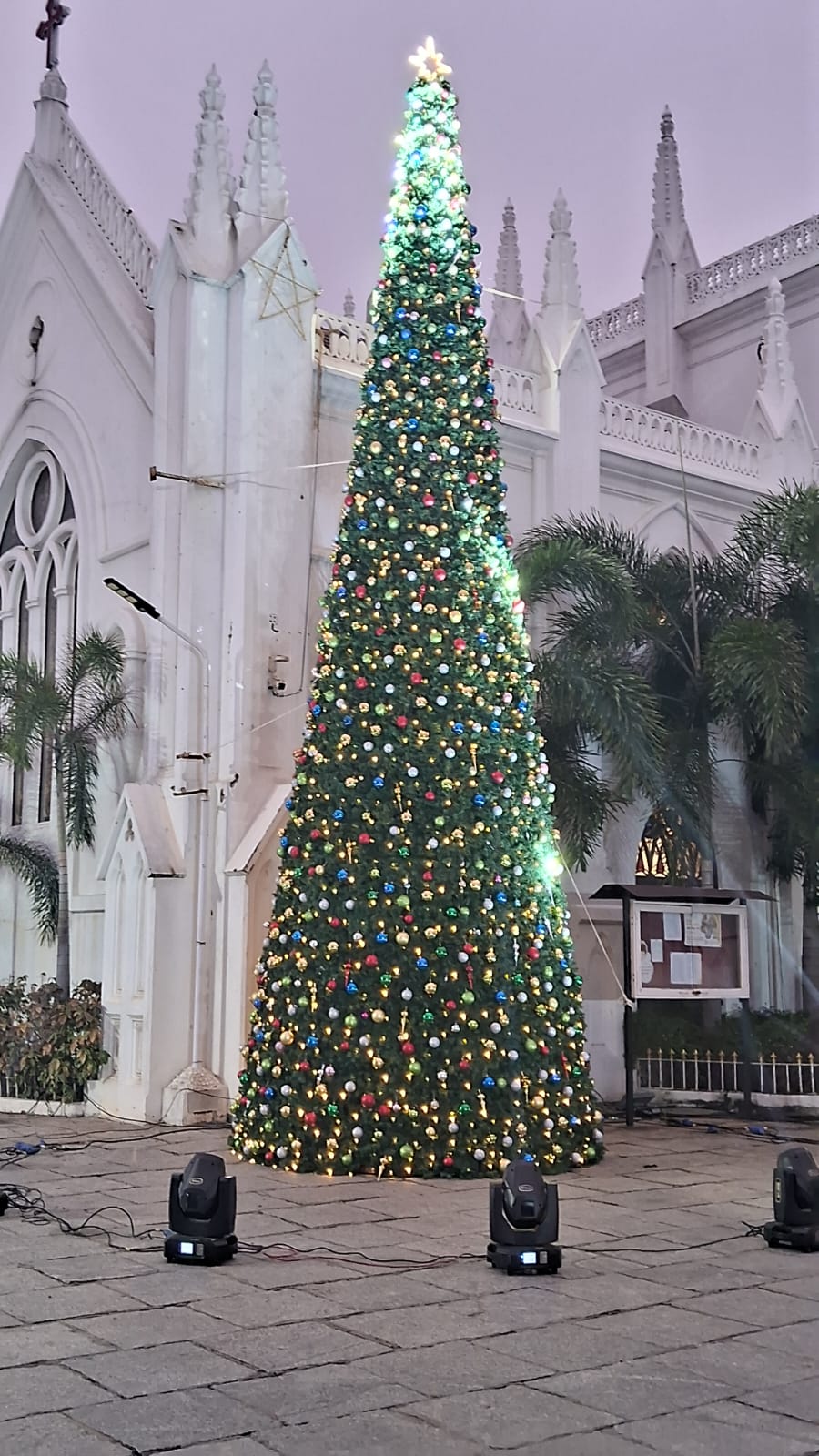 Santa Stores Installs the Tallest Christmas tree